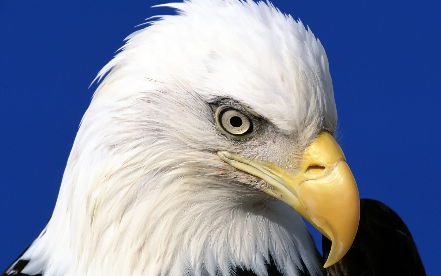 魔行酷（MOOOK）模型库|素材库|3D主题模型素材|视频教学-打造优质3D主题模型素材！