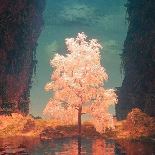 魔行酷（MOOOK）模型库|素材库|3D主题模型素材|视频教学-打造优质3D主题模型素材！